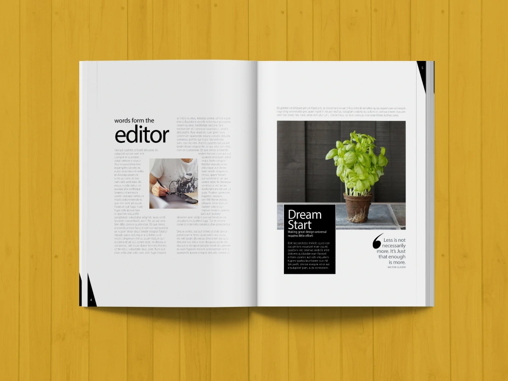 A Catalog, Magazine, and any project with adobe indesign | Upwork