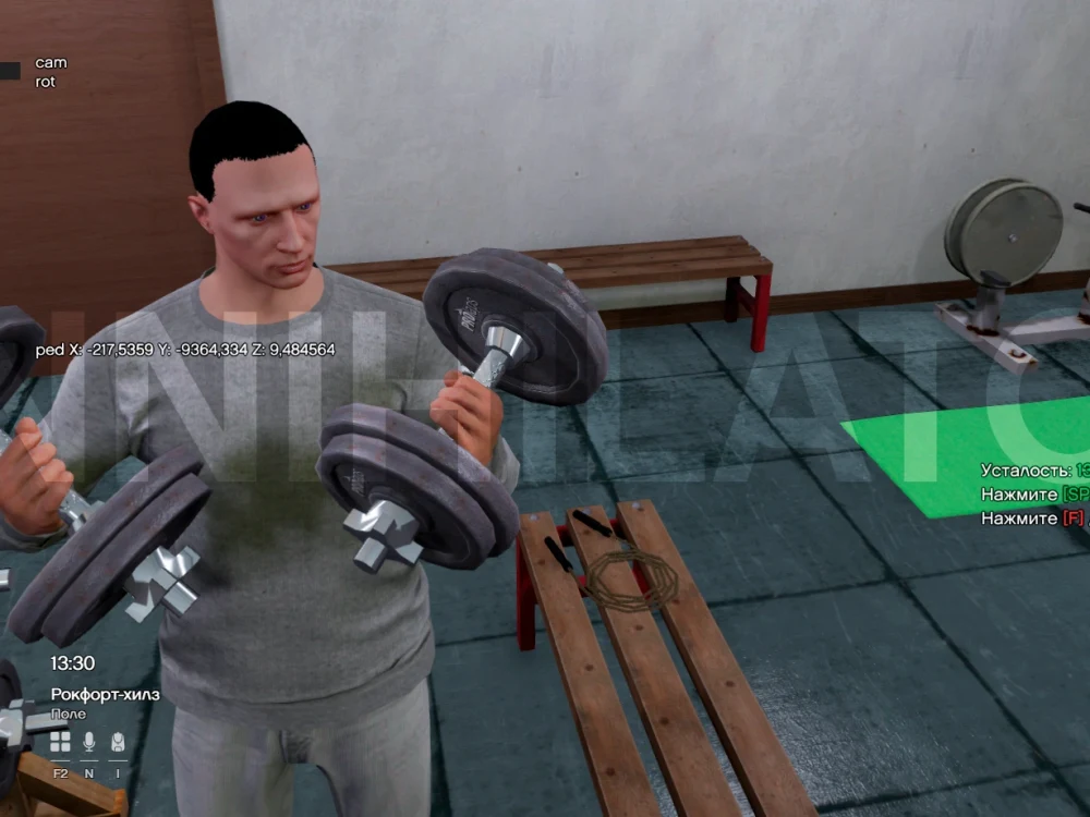 Ragemp script or gamemode | Upwork