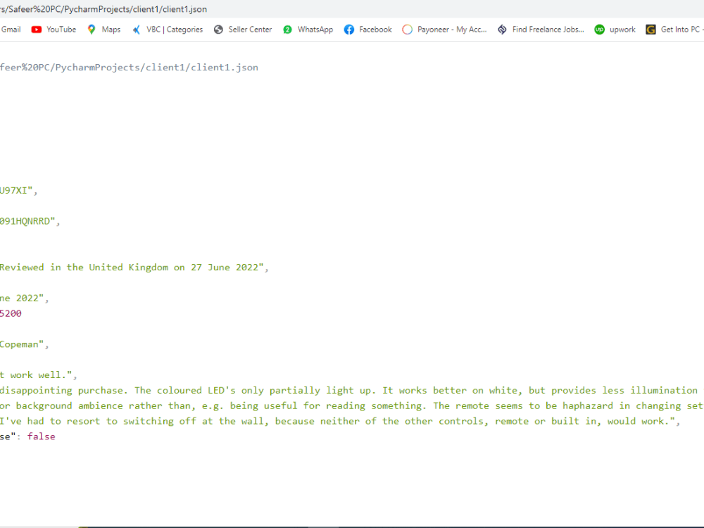 A fantastic data scraping bot to scrape data for your business. | Upwork