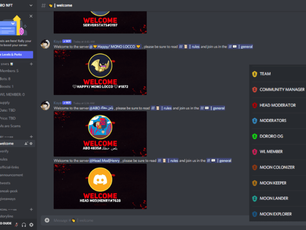 A unique discord server for your project | Upwork