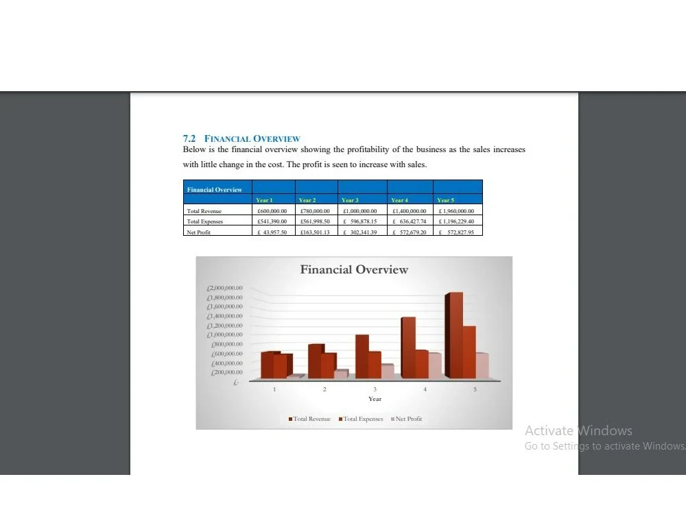 A Custom Business Plan Writing and Financial Projections | Upwork