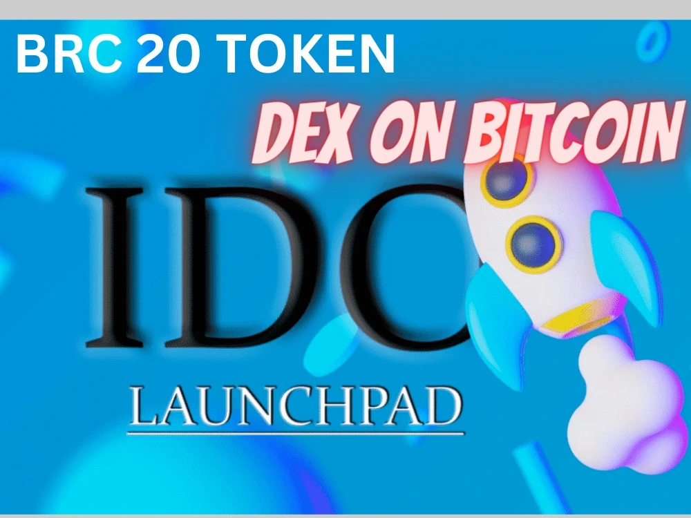 Implement a BRC20 IDO platform on the Bitcoin blockchain | Upwork