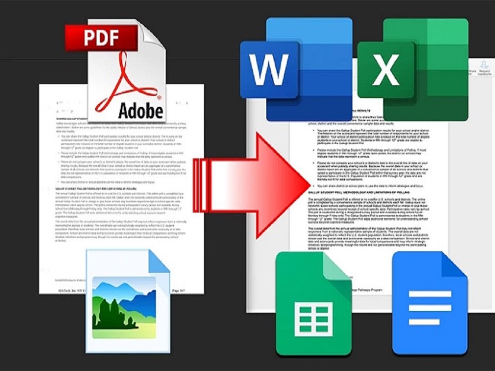 PDF/Image/Screenshot non-editable file converted in Word/Excel within 24 hr | Upwork
