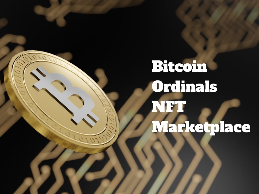 Bitcoin nfts, bitcoin ordinals inscriptions, btc nft | Upwork