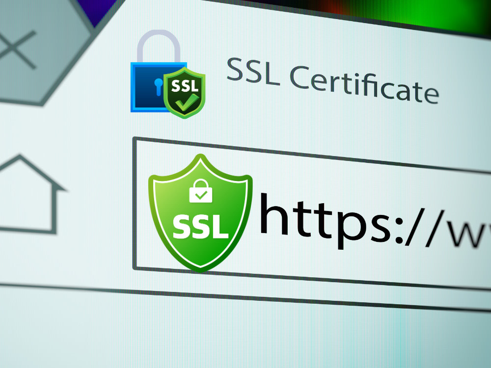 SSL certificate for your WordPress Website | Upwork