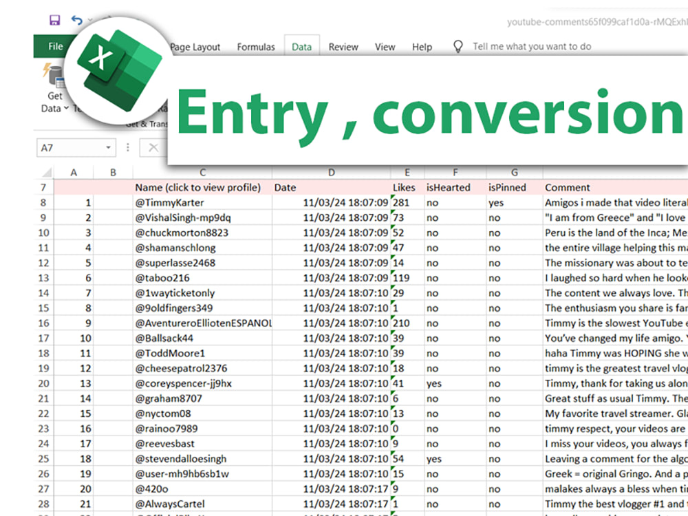Excel data entry, cleaning and formatting service | Upwork