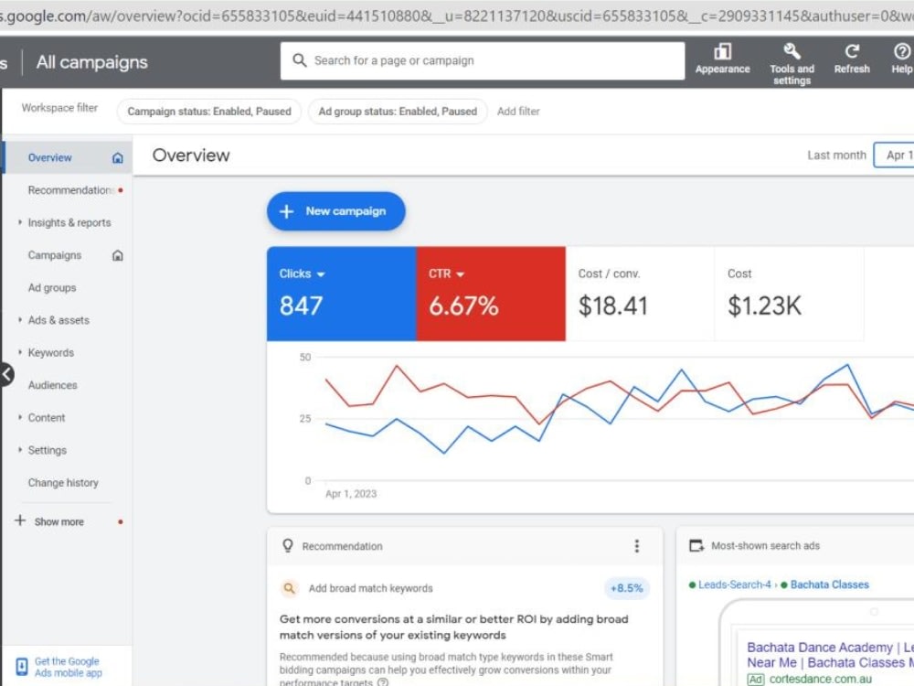 Google AdWords expert, Google ads, PPC Ads Manager, Google Ads ...