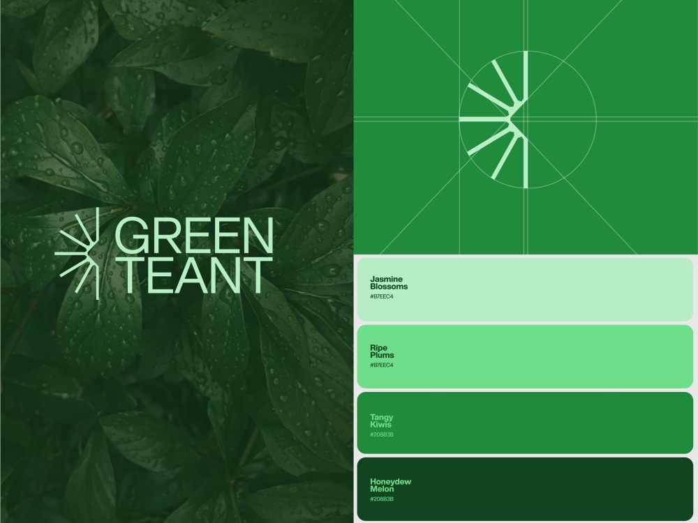 A top tier logo design & brand identity | Upwork