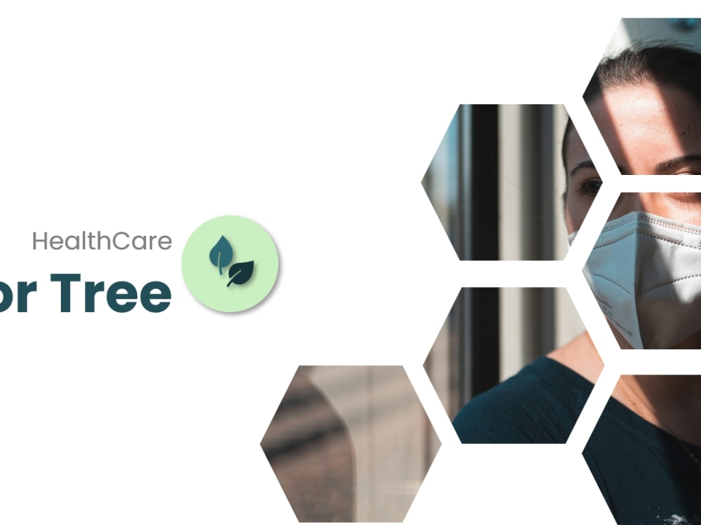 A clean & modern Healthcare Slide Deck (complete with Templates) | Upwork