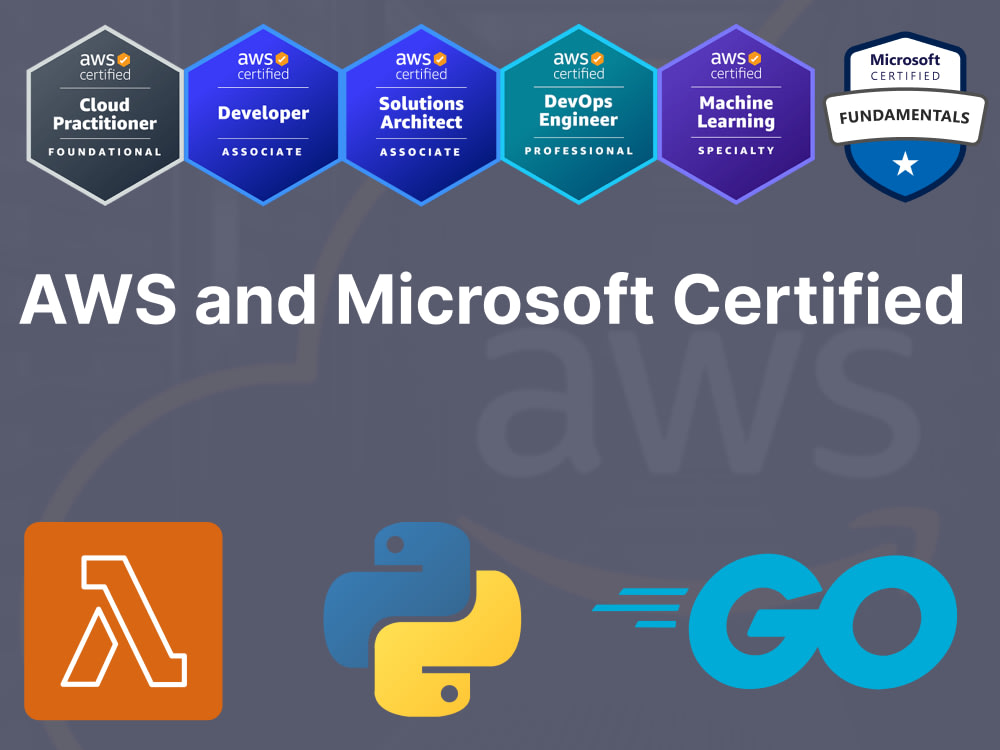 Aws Lambda Function In Python Golang Rust For Serverless Cloud Solutions Upwork