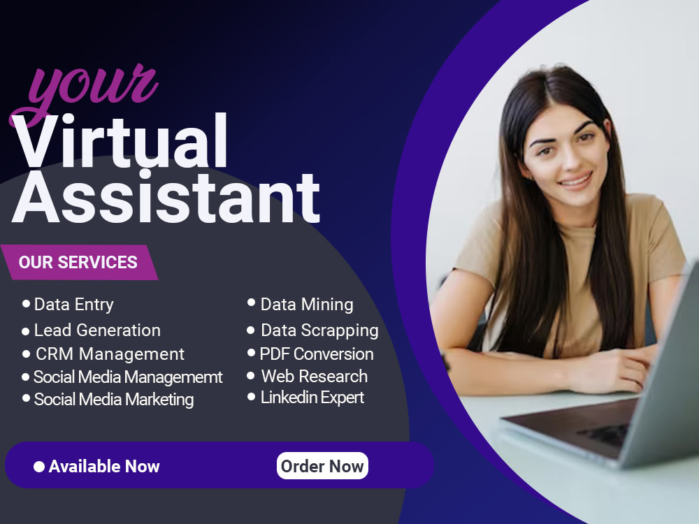 General virtual assistant for data entry, web research, admin support | Upwork