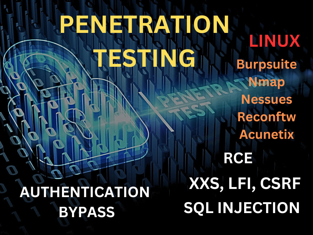 Professional penetration testing with a full penetration test report ...