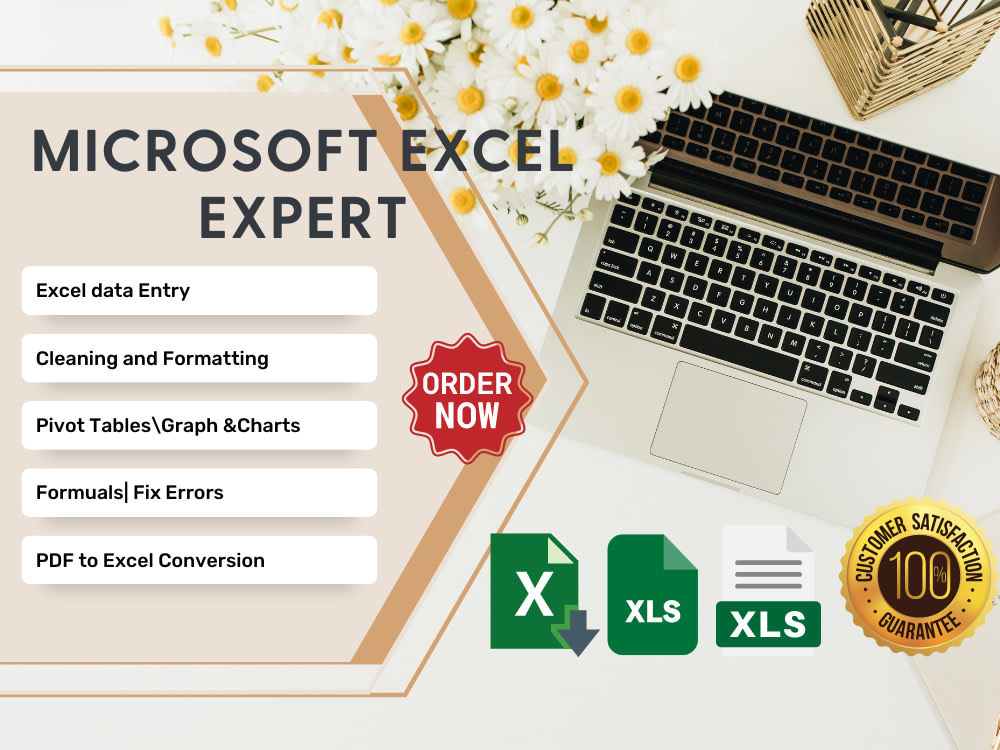 Professional Excel data Entry | Cleaning and Formatting | Pivot Table ...