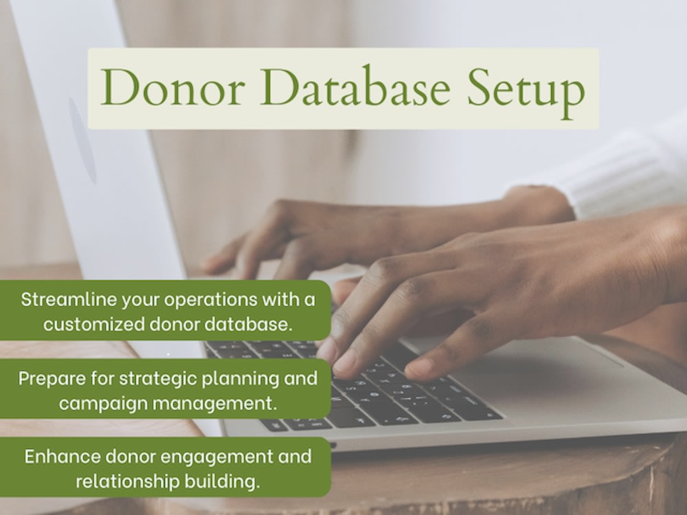 Streamlined donor operations with a customized donor database. | Upwork