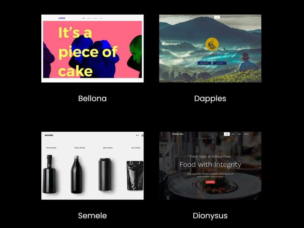 Wordpress Website Design Expert Wordpress Developer Woocommerce