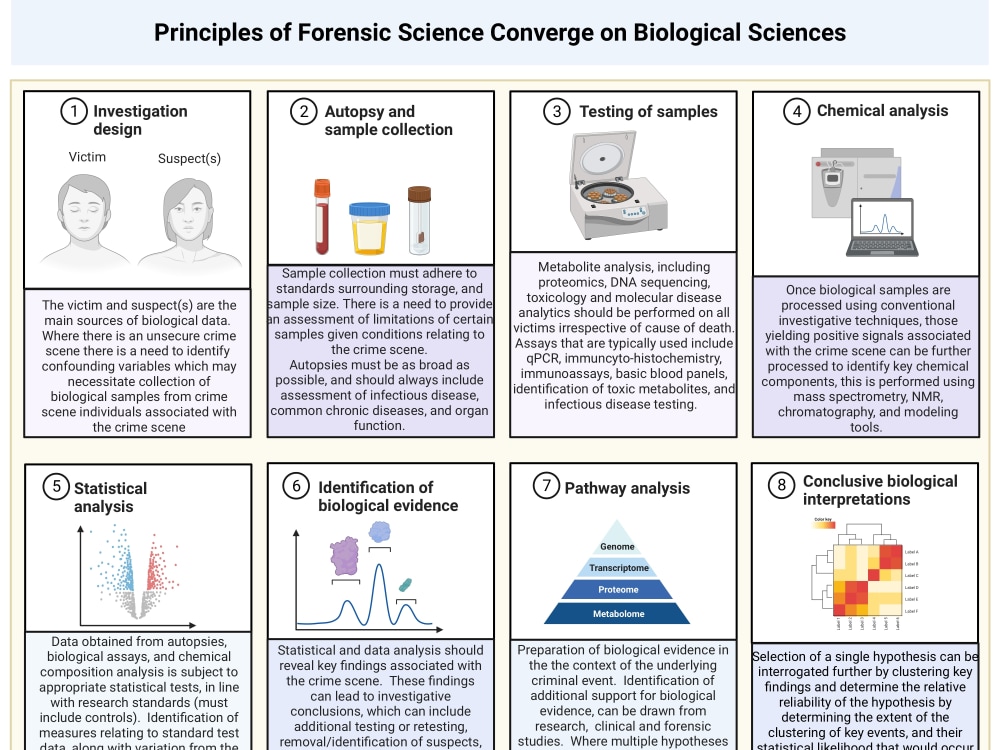 Create Scientific Figures to Explain Biological phenomena | Upwork
