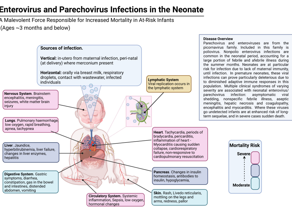 Create Scientific Figures to Explain Biological phenomena | Upwork