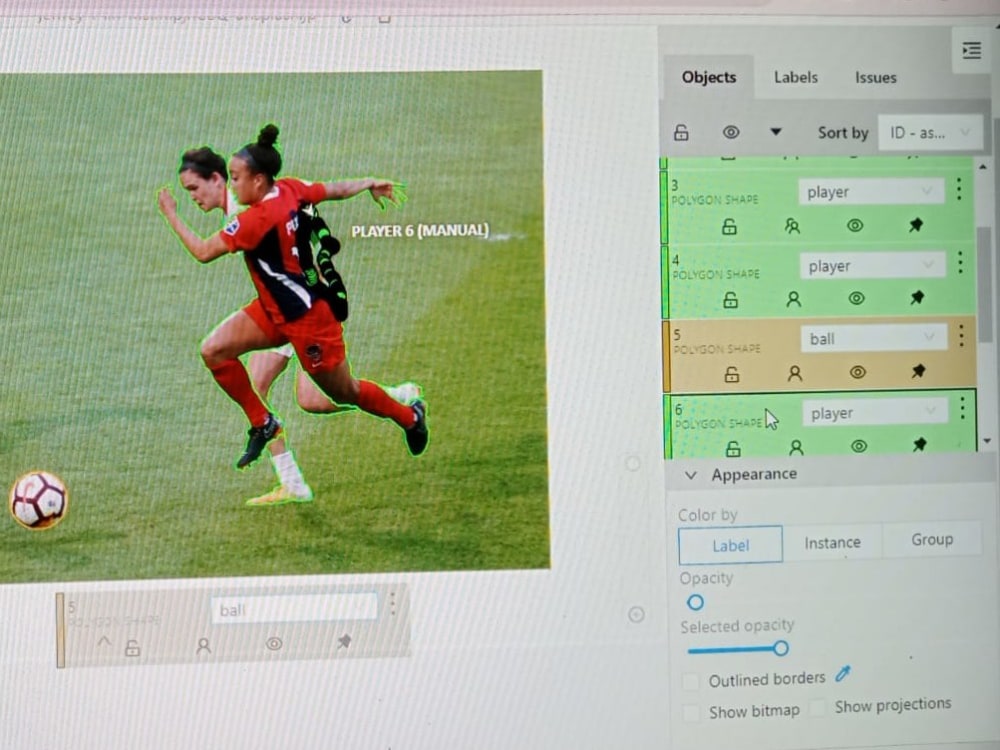 Image annotation, segmentation, bounding box, and all data labeling for ai | Upwork
