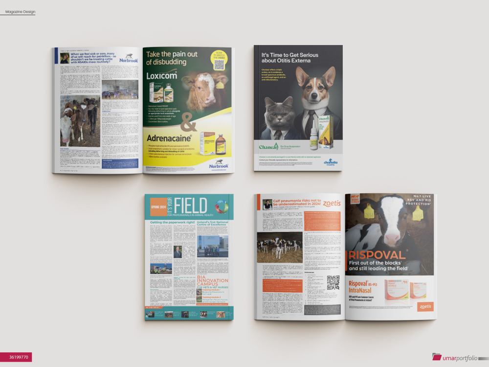 A fantastic Magazine or Catalog design | Upwork