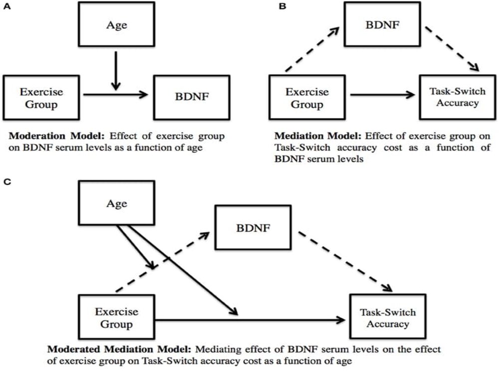 Data analysis and interpretation using SPSS | Upwork