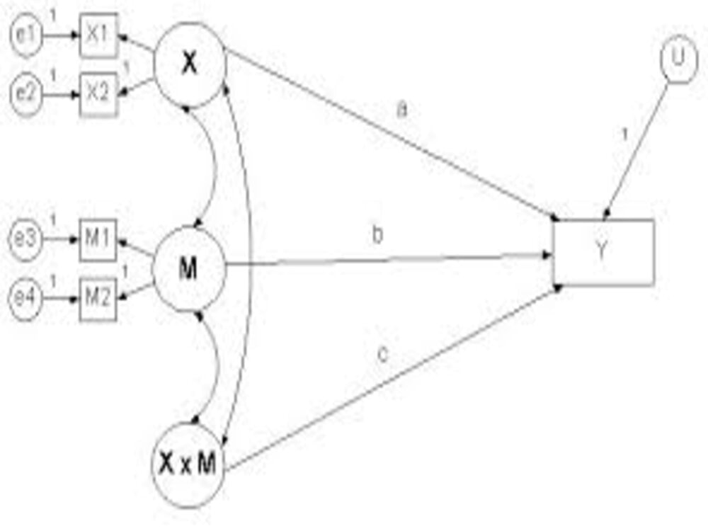 Data analysis and interpretation using SPSS | Upwork