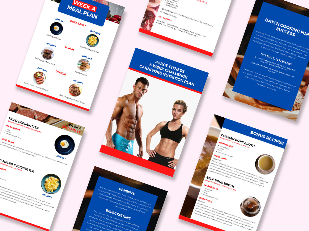 A printable or digital planner, guidebook, and journal your customers ...