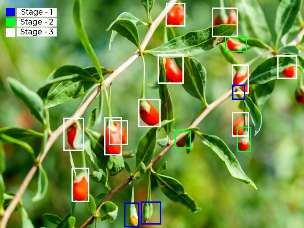 Image Annotation For Object Detection And Segmentation Upwork
