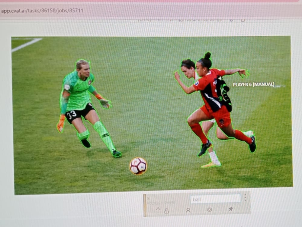 Image Annotation Segmentation Bounding Box And All Data Labeling For