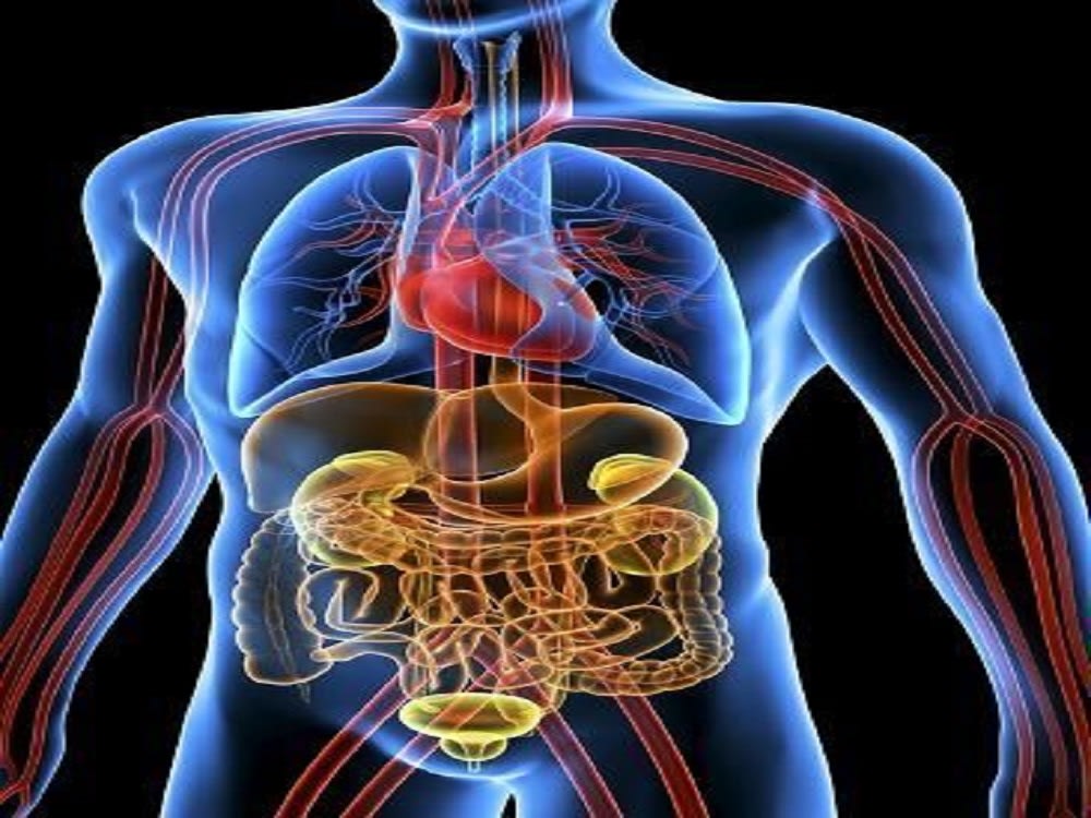 Professional 3d medical animation, 3d medical explainer video,surgery video | Upwork