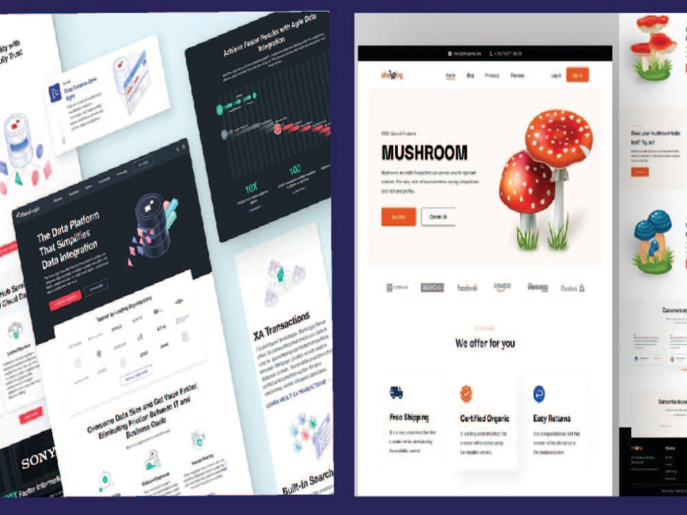 A front end website by-html, css, js, react,ts, next.js, redux,seo website | Upwork