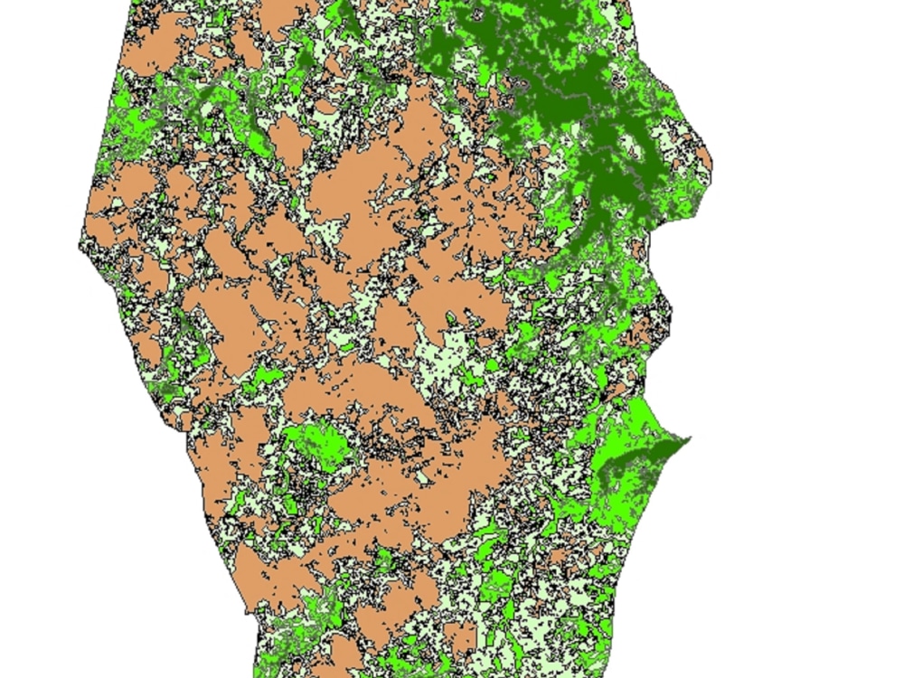 A professional gis spatial analysis and remote sensing job done | Upwork