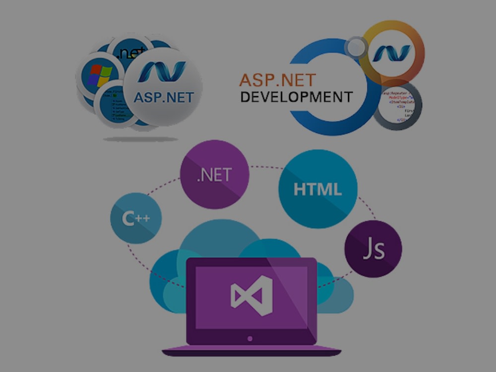 Attractive web app with C# ASP.net | Upwork