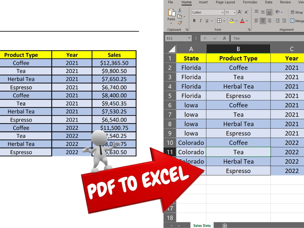 Expert PDF to Excel and Word Conversion Solutions | Upwork