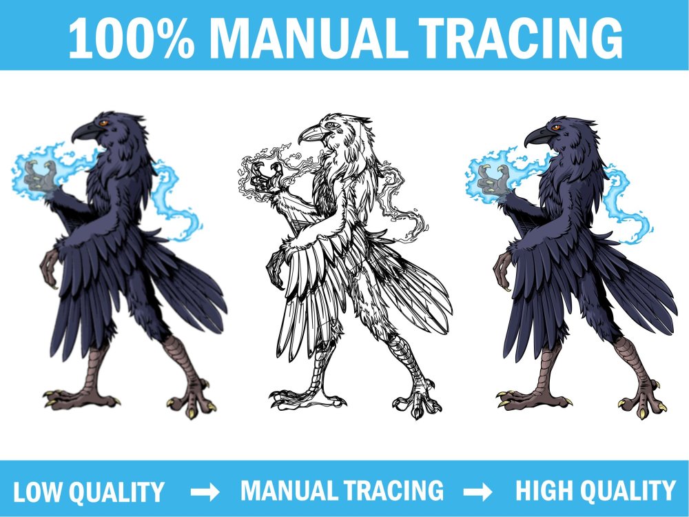 Vector tracing, vectorize image, convert logo to vector | Upwork