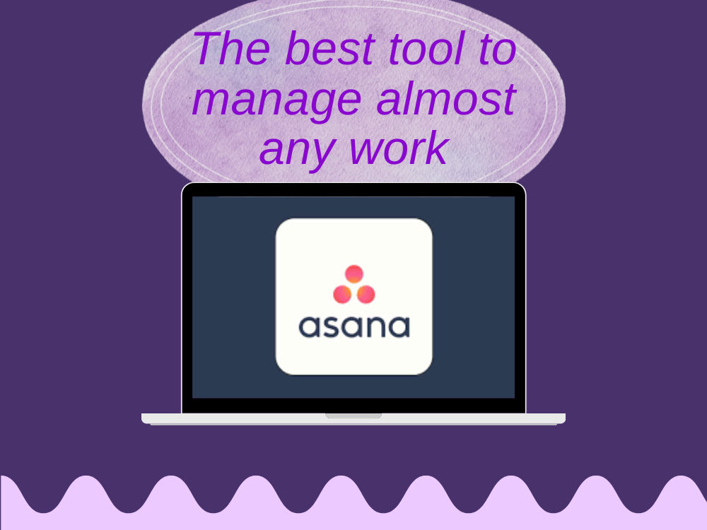 Virtual Assistant on asana Project Management, Setup, & Automations ...