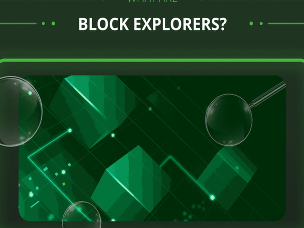 Block scan or block explorer for your chain | Upwork