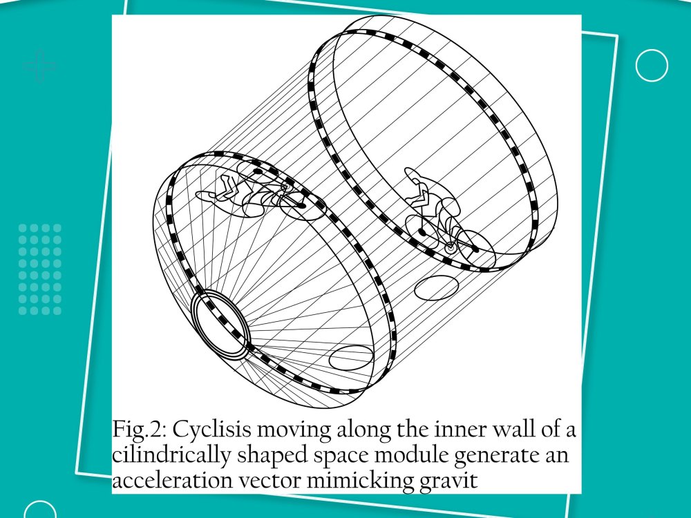 Vector Line Art Design | Upwork
