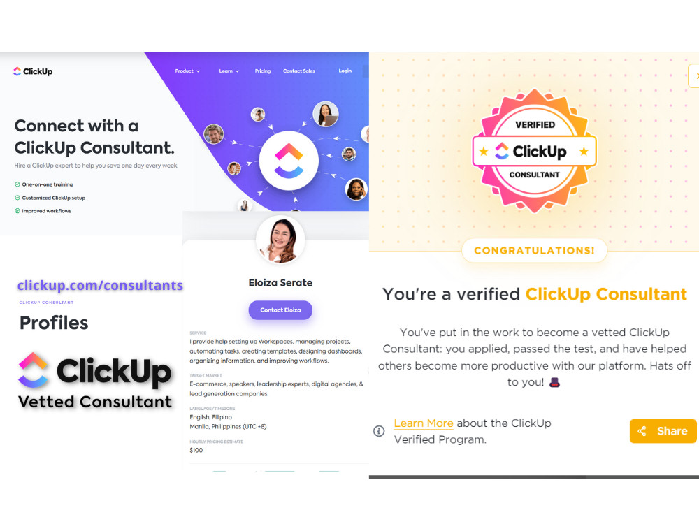 Clickup implementation, strategy, training, and maintenance services ...