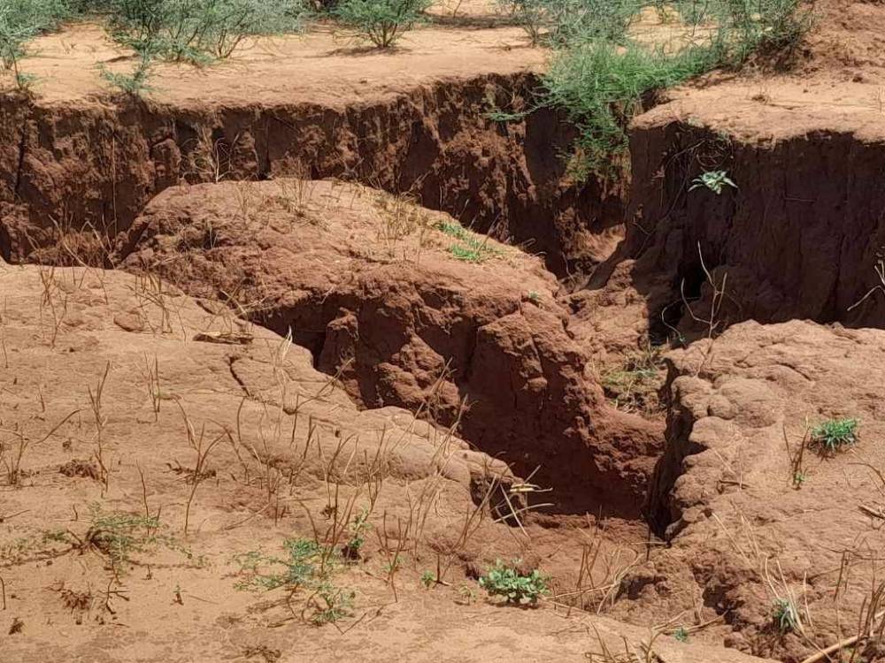 Land use/land cover classification maps, change detection analysis | Upwork