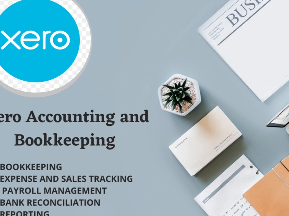 A Xero Files Review and Bank Reconciliation. | Upwork