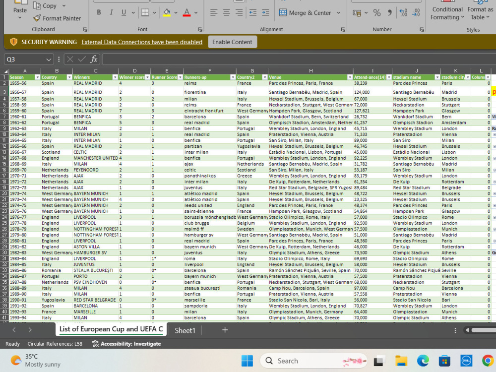 Data Analyst Excel.Cleaning ,creating charts, pivote and Organizing ...