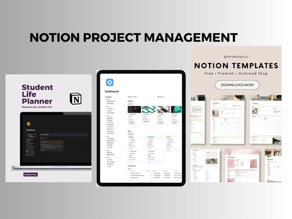 Notion Automated business management solution | Upwork