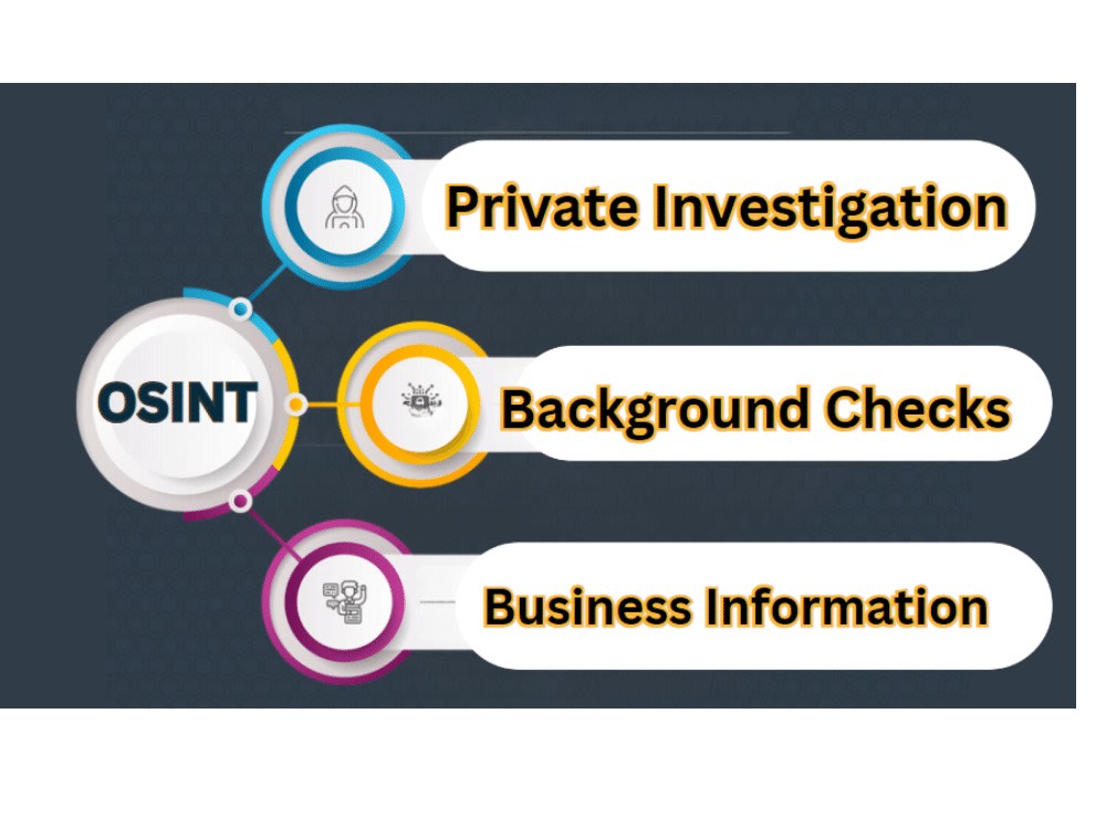 A private osint, investigation detective background check us target person | Upwork