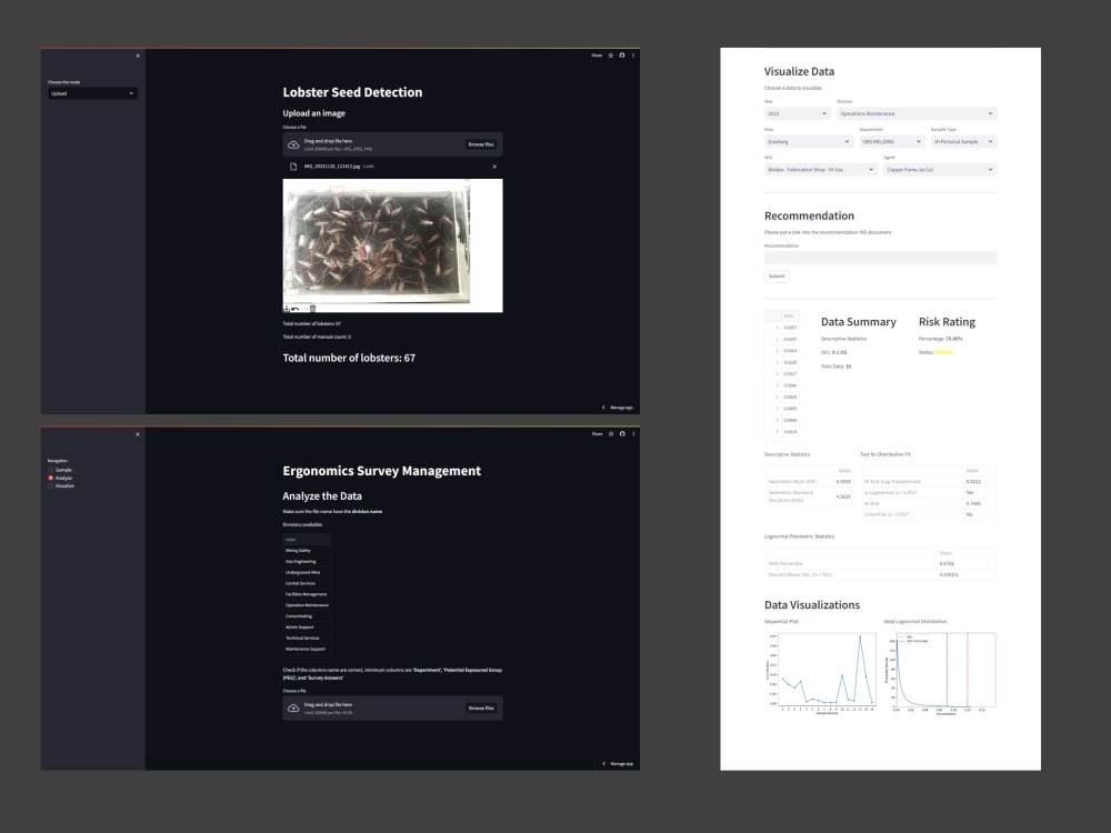 A functional website or AI prototype using Streamlit | Upwork