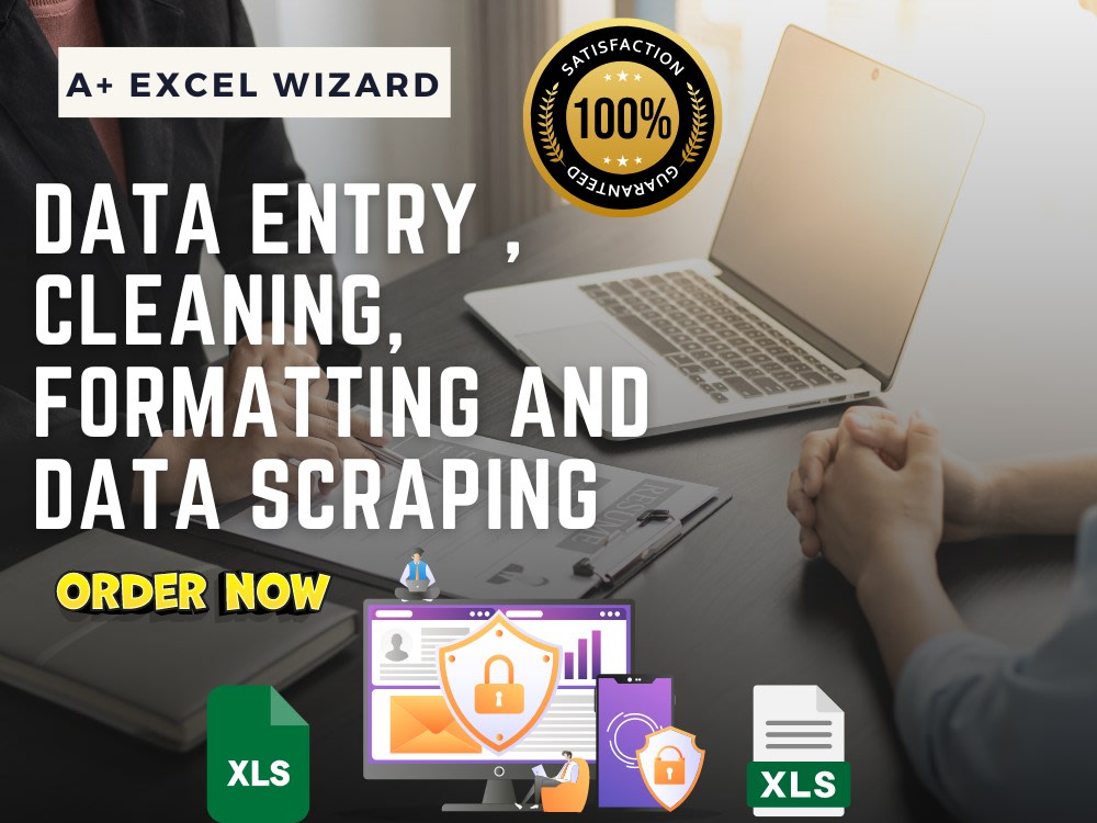 A Excel Data Entry Cleaning Formatting And Data Scraping Service Upwork