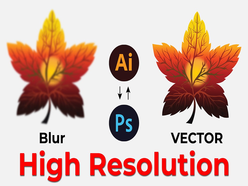 Vector tracing, convert any JPG, PNG into a high-res vector file in 40 ...
