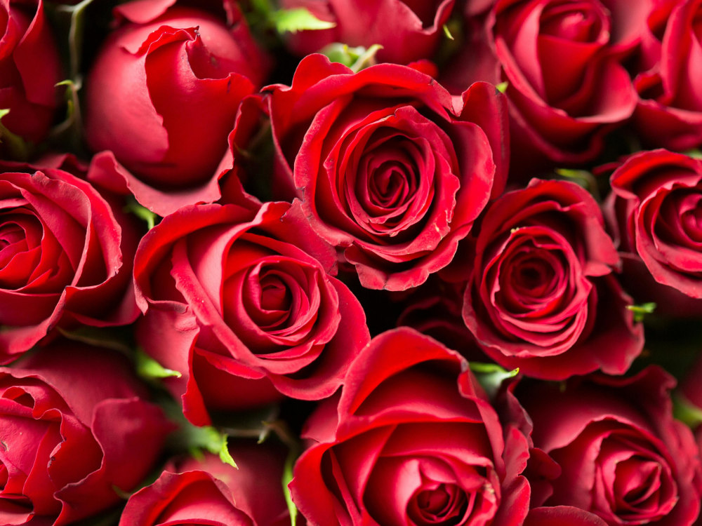 Any photo resized, reorganized and edited | Upwork