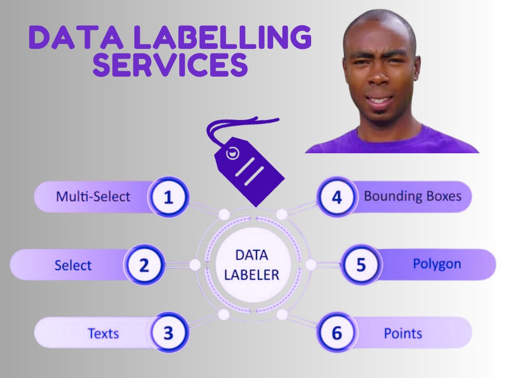 Data Labeler | Text Classification Labeling | Labeling Services | Upwork