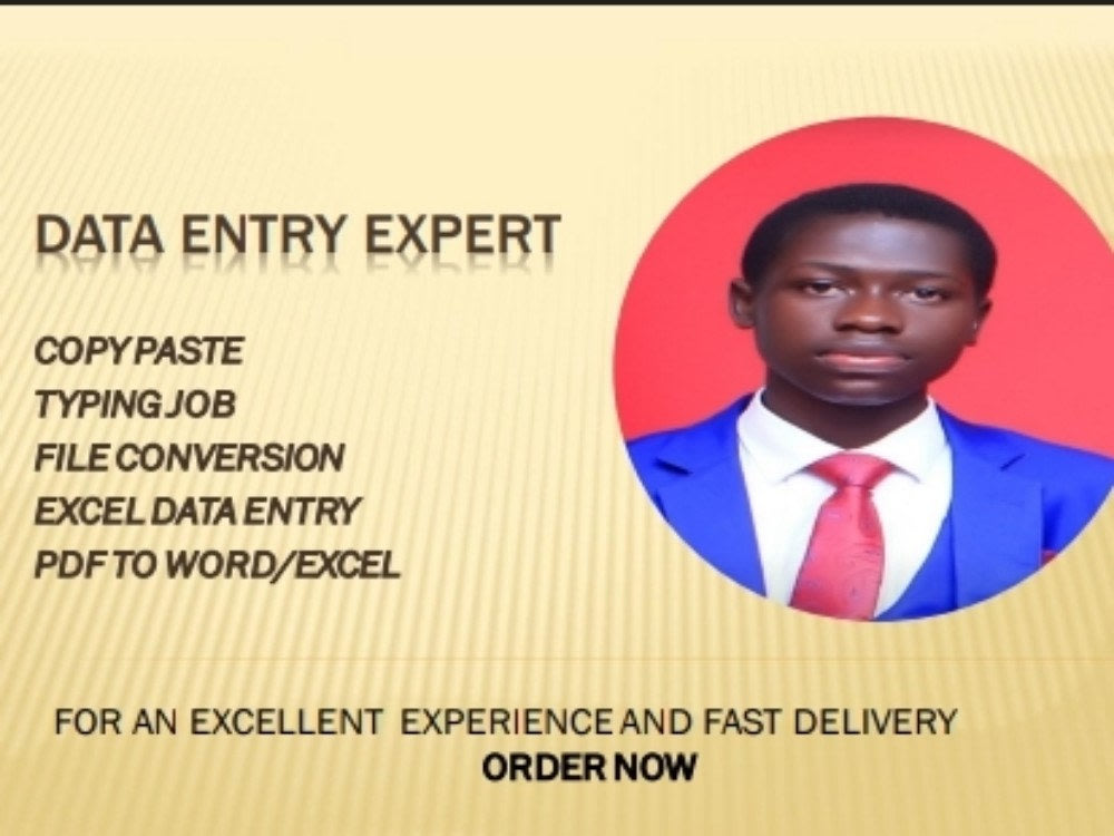 Professional Data Entry Service Fast and Accurate | Upwork