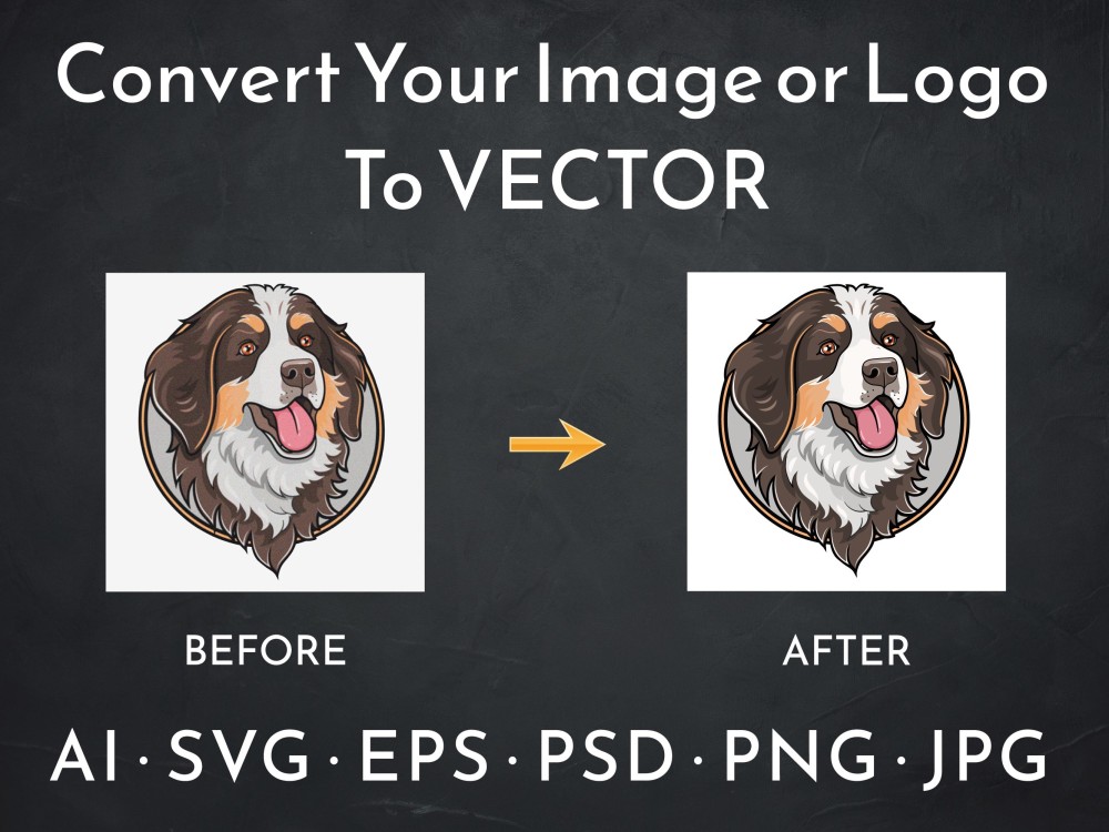 Professional AI, EPS, SVG, Vector files from your images | Upwork
